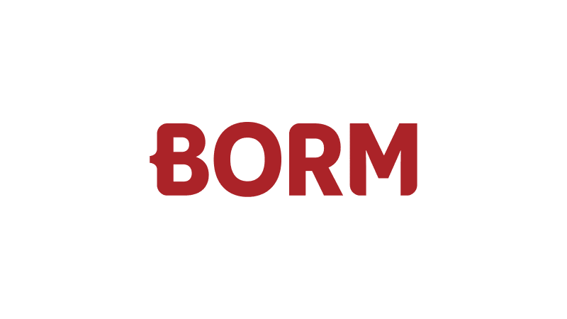 Borm-Informatik AG